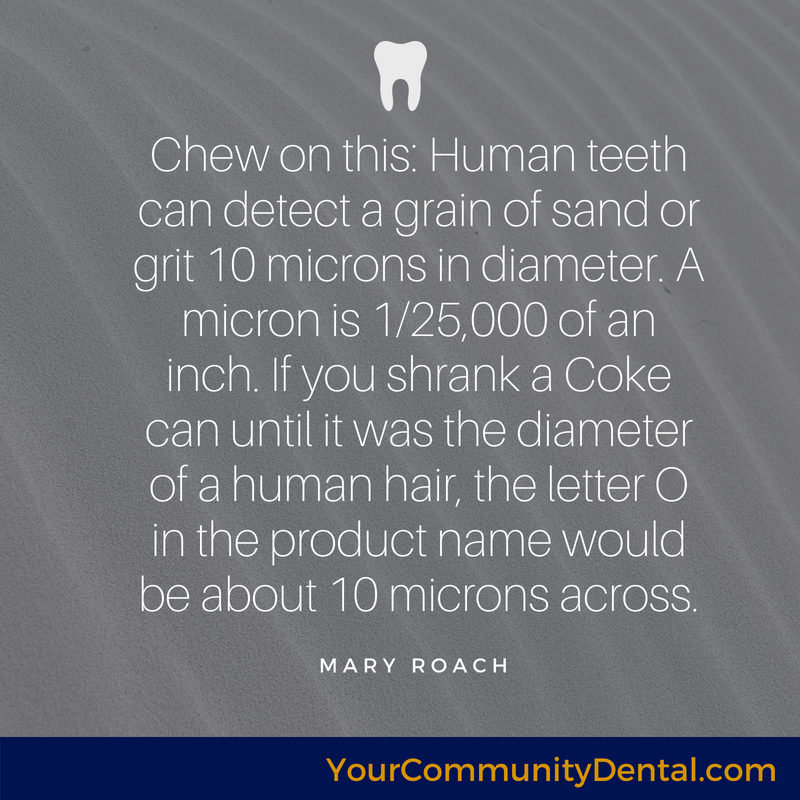 Tooth Bud Research May Replace Dentures with Your Own Teeth